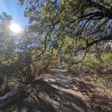UC Davis Arboretum Trail, California - 1,120 Reviews, Map | AllTrails