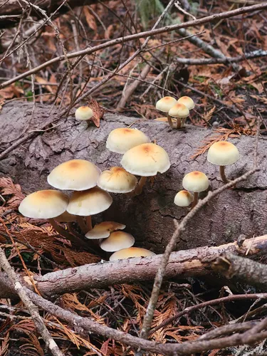 Best Hikes and Trails in Miller Peninsula State Park | AllTrails