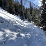 Elbow Lake, Alberta, Canada - 538 Reviews, Map | AllTrails