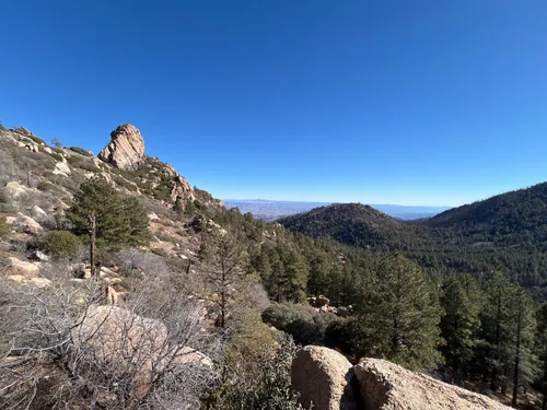 Best Hikes and Trails in Hualapai Mountain Park | AllTrails