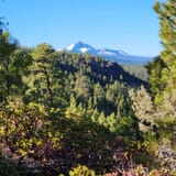 Peterson Ridge Trail, Oregon - 493 Reviews, Map | AllTrails