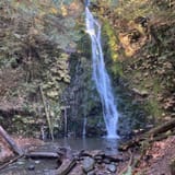 Madison Falls Trail, Washington - 1,589 Reviews, Map | AllTrails