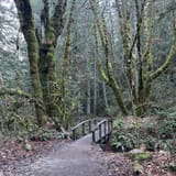 Toketee Falls, Oregon - 2,040 Reviews, Map | AllTrails