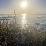 Sunset Cliffs Park Trail, California - 576 Reviews, Map | AllTrails