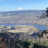 Tom McCall Point Trail, Oregon - 1,491 Reviews, Map | AllTrails