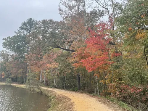 Best Hikes and Trails in Ellerslie Park | AllTrails