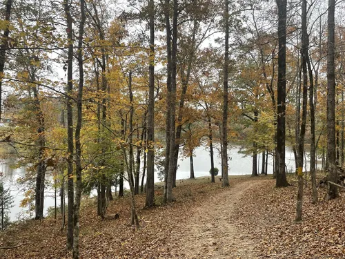 Best Hikes and Trails in Ellerslie Park | AllTrails