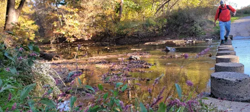 Best Hikes and Trails in Cub Run Stream Valley Park | AllTrails