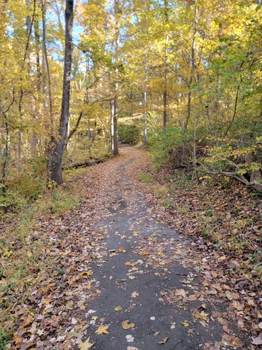 Best Hikes and Trails in Cub Run Stream Valley Park | AllTrails