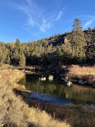 10 Best Off Road Driving Trails in Oregon | AllTrails