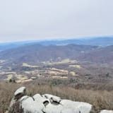 Sharp Top Trail, Virginia - 2,660 Reviews, Map | AllTrails