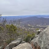 Sharp Top Trail, Virginia - 2,660 Reviews, Map | AllTrails