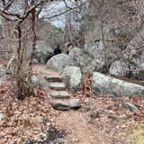 Sharp Top Trail, Virginia - 2,660 Reviews, Map | AllTrails