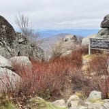 Sharp Top Trail, Virginia - 2,660 Reviews, Map | AllTrails