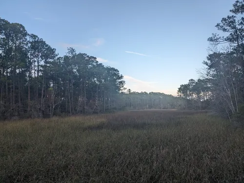 Best 10 Hiking Trails in Shepard State Park | AllTrails