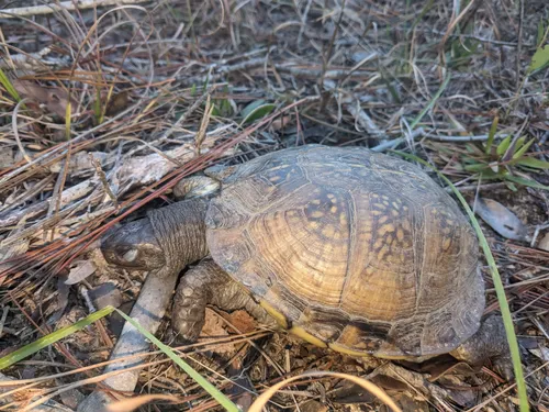 Best 10 Hiking Trails in Shepard State Park | AllTrails