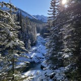Junction Falls Trail, Alberta, Canada - 1,121 Reviews, Map | AllTrails