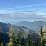 Mount Forgotten Meadows Trail, Washington - 353 Reviews, Map | AllTrails