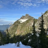 Mount Forgotten Meadows Trail, Washington - 353 Reviews, Map | AllTrails
