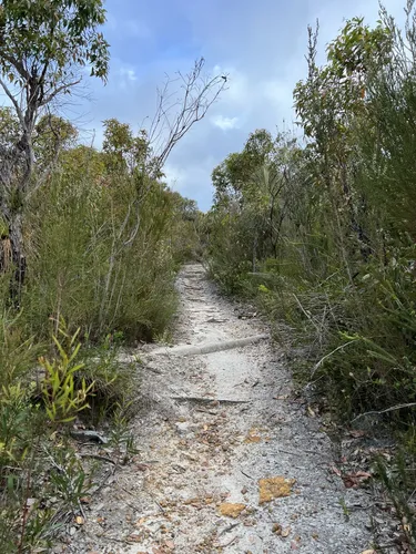 Best Hikes and Trails in Mount Lindesay National Park | AllTrails