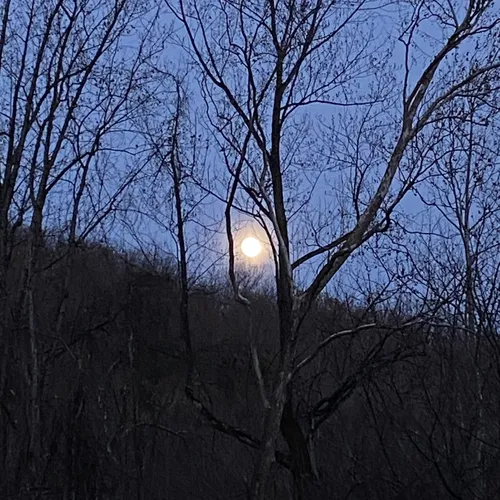 Best Hikes and Trails in Three Ridges Wilderness | AllTrails