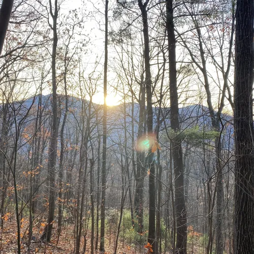 Best Hikes and Trails in Three Ridges Wilderness | AllTrails