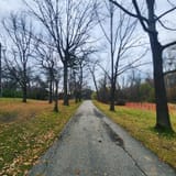 High Park Loop, Ontario, Canada - 1,143 Reviews, Map | AllTrails