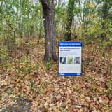 High Park Loop, Ontario, Canada - 1,143 Reviews, Map | AllTrails