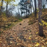High Park Loop, Ontario, Canada - 1,143 Reviews, Map | AllTrails
