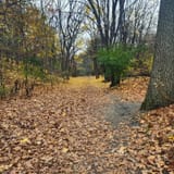 High Park Loop, Ontario, Canada - 1,143 Reviews, Map | AllTrails