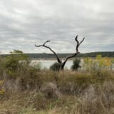 Good Water Loop, Texas - 775 Reviews, Map | AllTrails