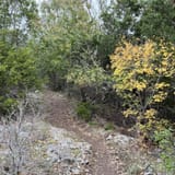 Good Water Loop, Texas - 775 Reviews, Map | AllTrails