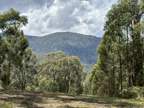 10 Best Hikes and Trails in Yarra Ranges National Park | AllTrails