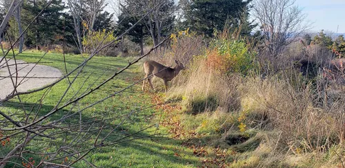 Best Hikes and Trails in Halibut Point State Park | AllTrails