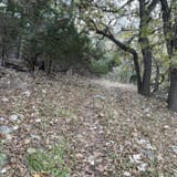Good Water Loop, Texas - 775 Reviews, Map | AllTrails