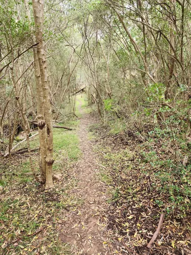 Best Hikes and Trails in Tangari Regional Park | AllTrails