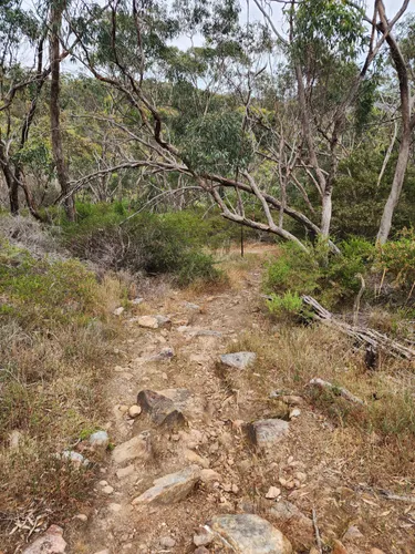 Best Hikes and Trails in Tangari Regional Park | AllTrails