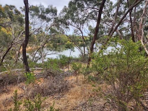 Best Hikes and Trails in Tangari Regional Park | AllTrails