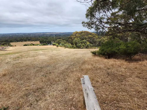 Best Hikes and Trails in Tangari Regional Park | AllTrails