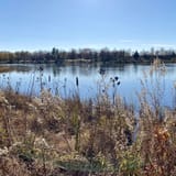 Lake Artemesia Natural Area Trail, Maryland - 777 Reviews, Map | AllTrails