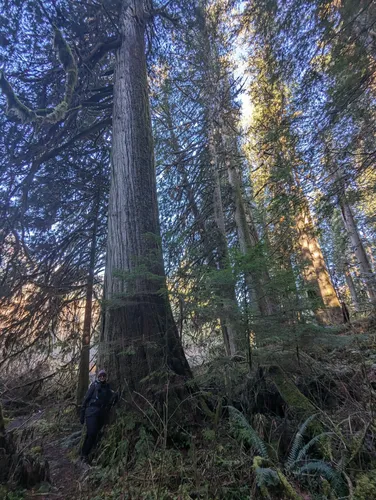 Best Hikes and Trails in Chilliwack River Ecological Reserve | AllTrails