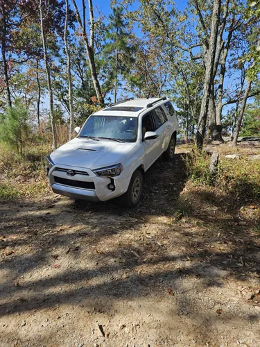 Best Off Road Driving Trails in Alabama | AllTrails