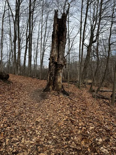 Best 10 Hikes and Trails in Pokagon State Park | AllTrails