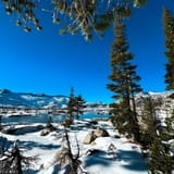 Lake Aloha Trail, California - 1,805 Reviews, Map | AllTrails