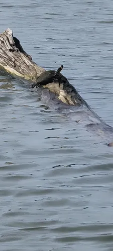 Best Hikes and Trails in Fryer Park | AllTrails