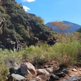 Cibecue Falls via Cibecue Creek Trail, Arizona - 782 Reviews, Map ...