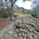 Organ Pipes, Rosette Rock and Tesselated Pavement Circuit, Victoria ...