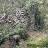 Organ Pipes, Rosette Rock and Tesselated Pavement Circuit, Victoria ...