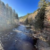 Wilson River Trail, Oregon - 654 Reviews, Map | AllTrails