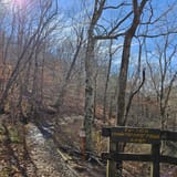 Fall Hollow Falls Trail, Tennessee - 173 Reviews, Map | AllTrails